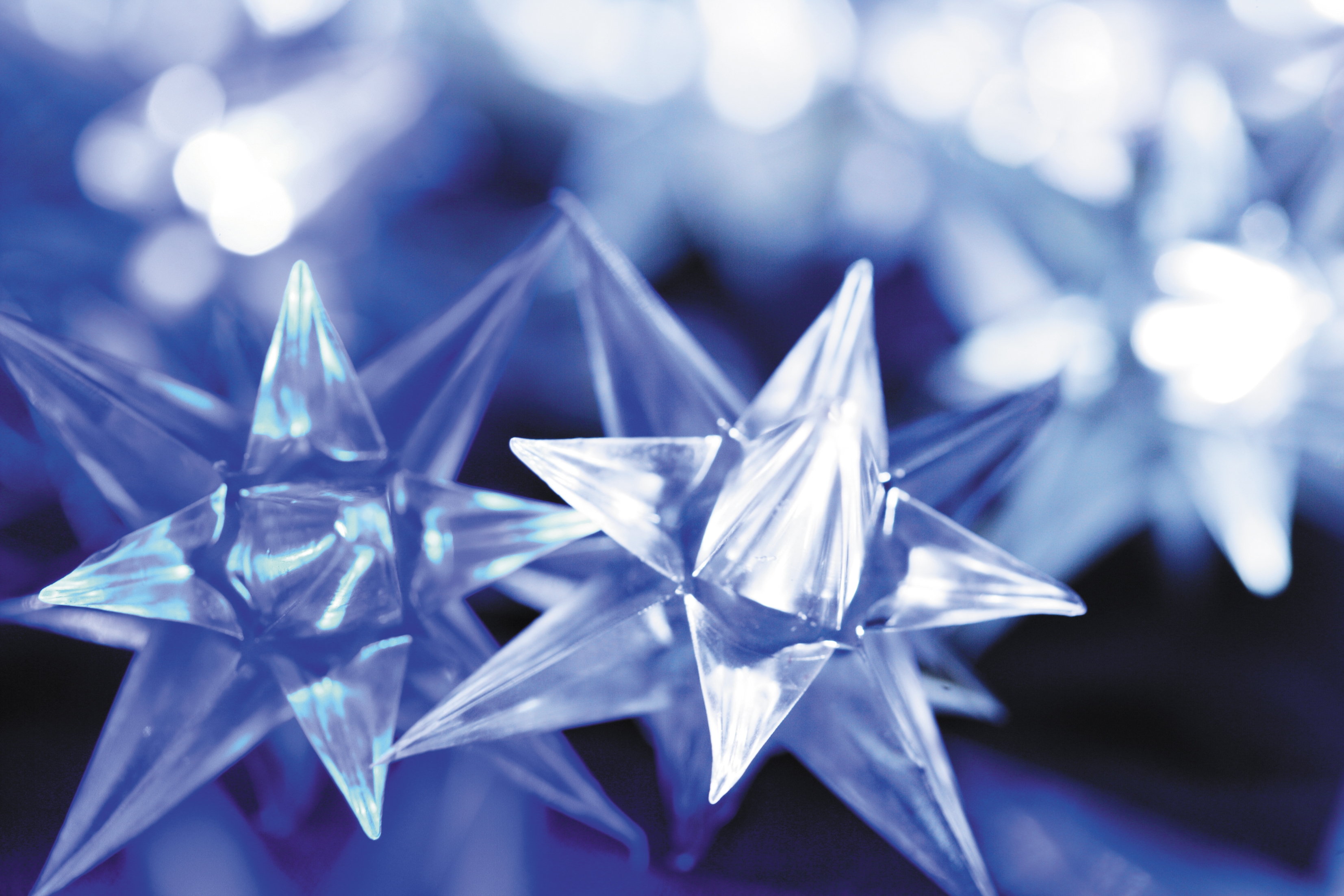 Index of /photos/nloimages/iimages